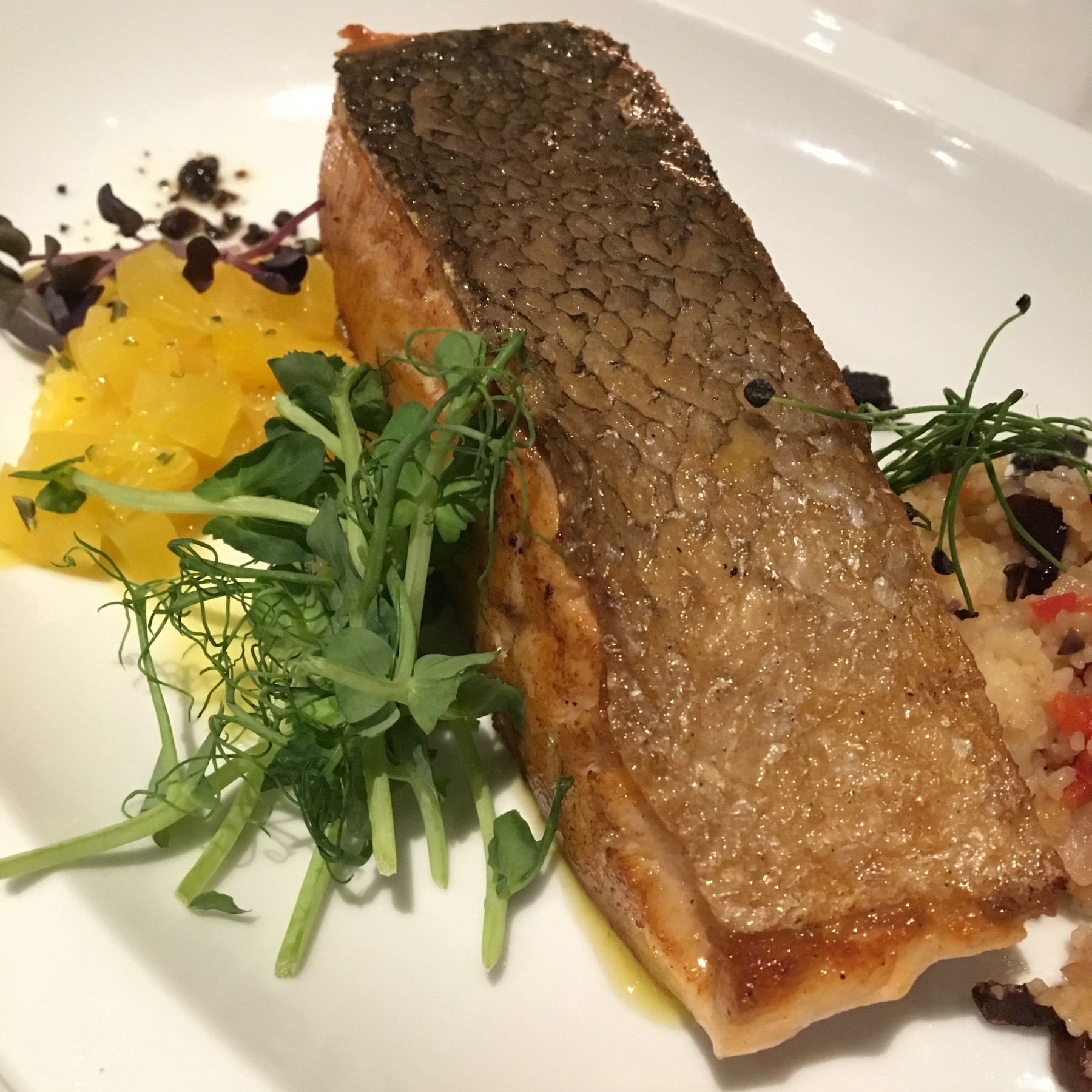 Premium Australian Tasmanian Salmon Fillet